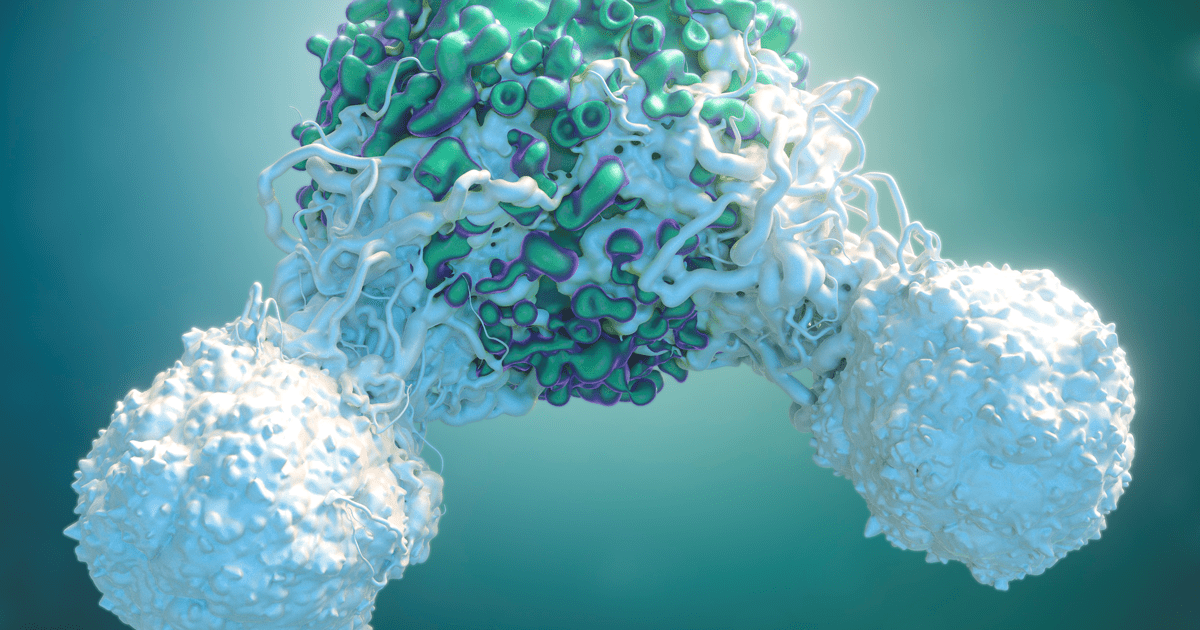 ¿Cómo funciona el sistema inmunitario?