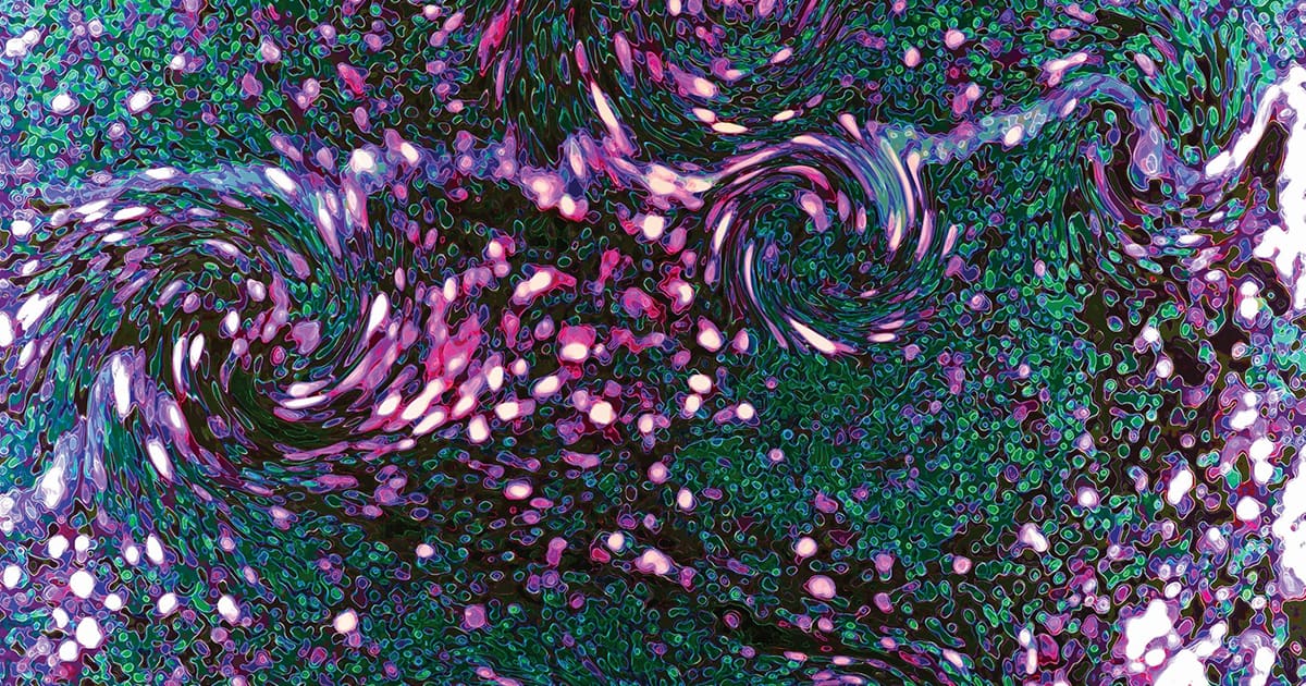 CICON 2025 International Cancer Immunotherapy Conference