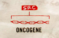Oncogene and Targeted Therapy