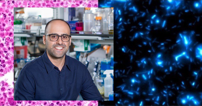 Engineering Bacteria to Improve Immunotherapy with Dr. Tal Danino