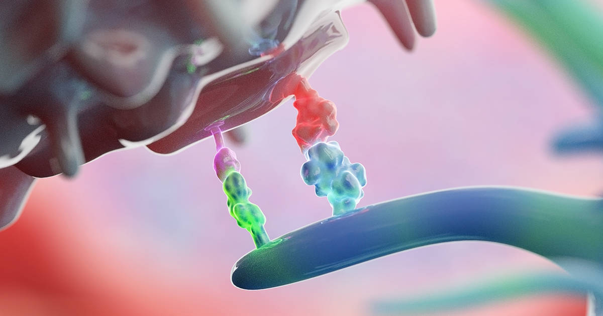 FDA Approves New LAG-3 Checkpoint Inhibitor Immunotherapy Combination