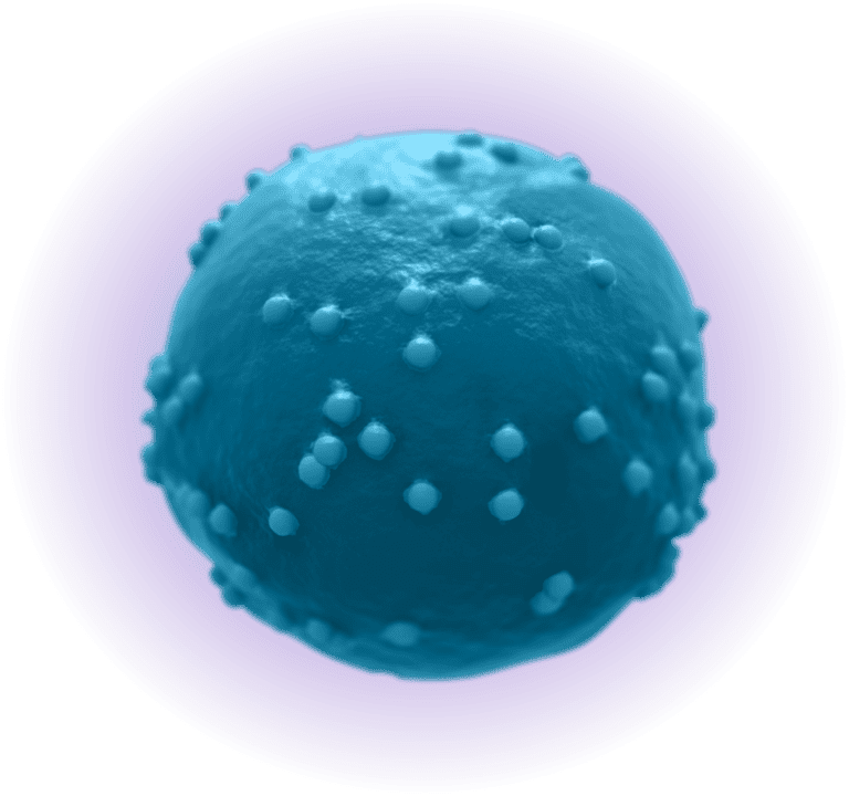 Cri Discovery Cancer Research Institute