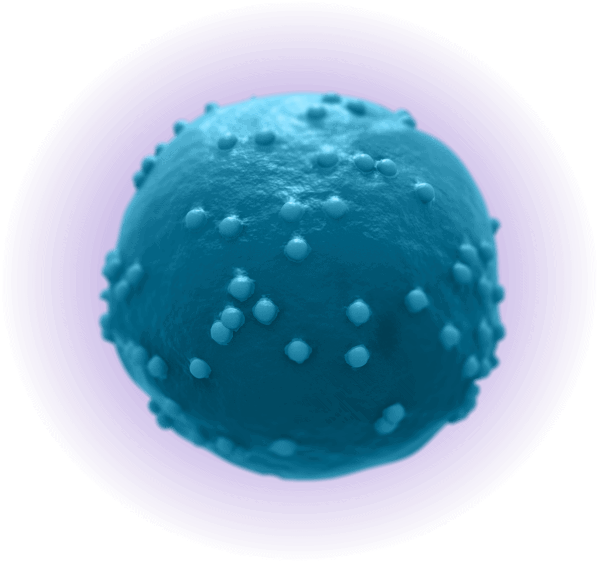 Cri Discovery Cancer Research Institute